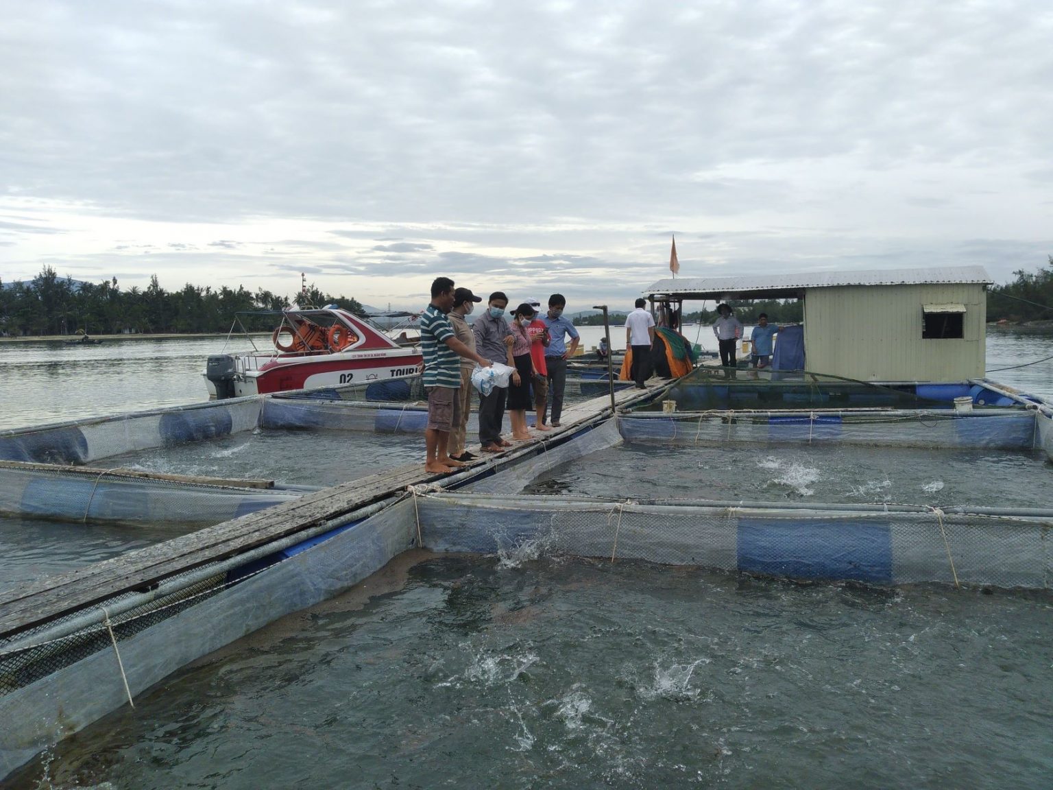 Vietnam Fisheries Magazine – The Fisheries Sector in Vietnam