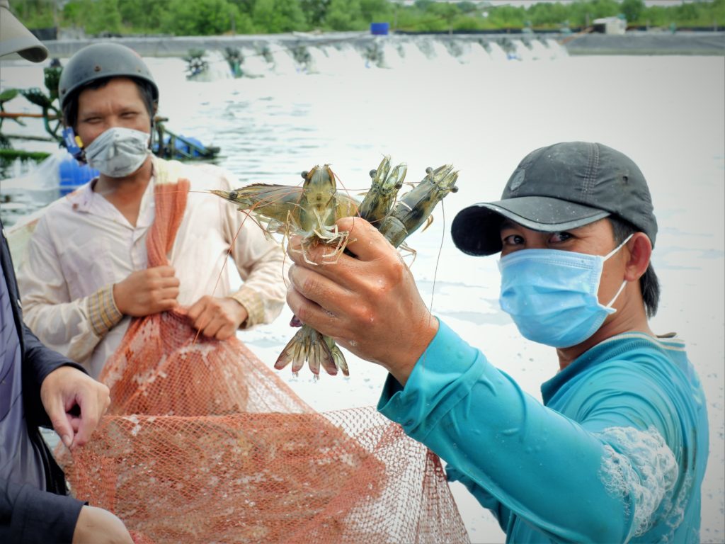 Fisheries – Vietnam Fisheries Magazine